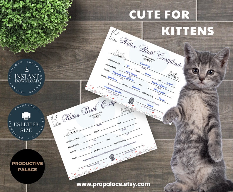Printable * Kitten Birth Certificate – Document Write in Birth Record ...