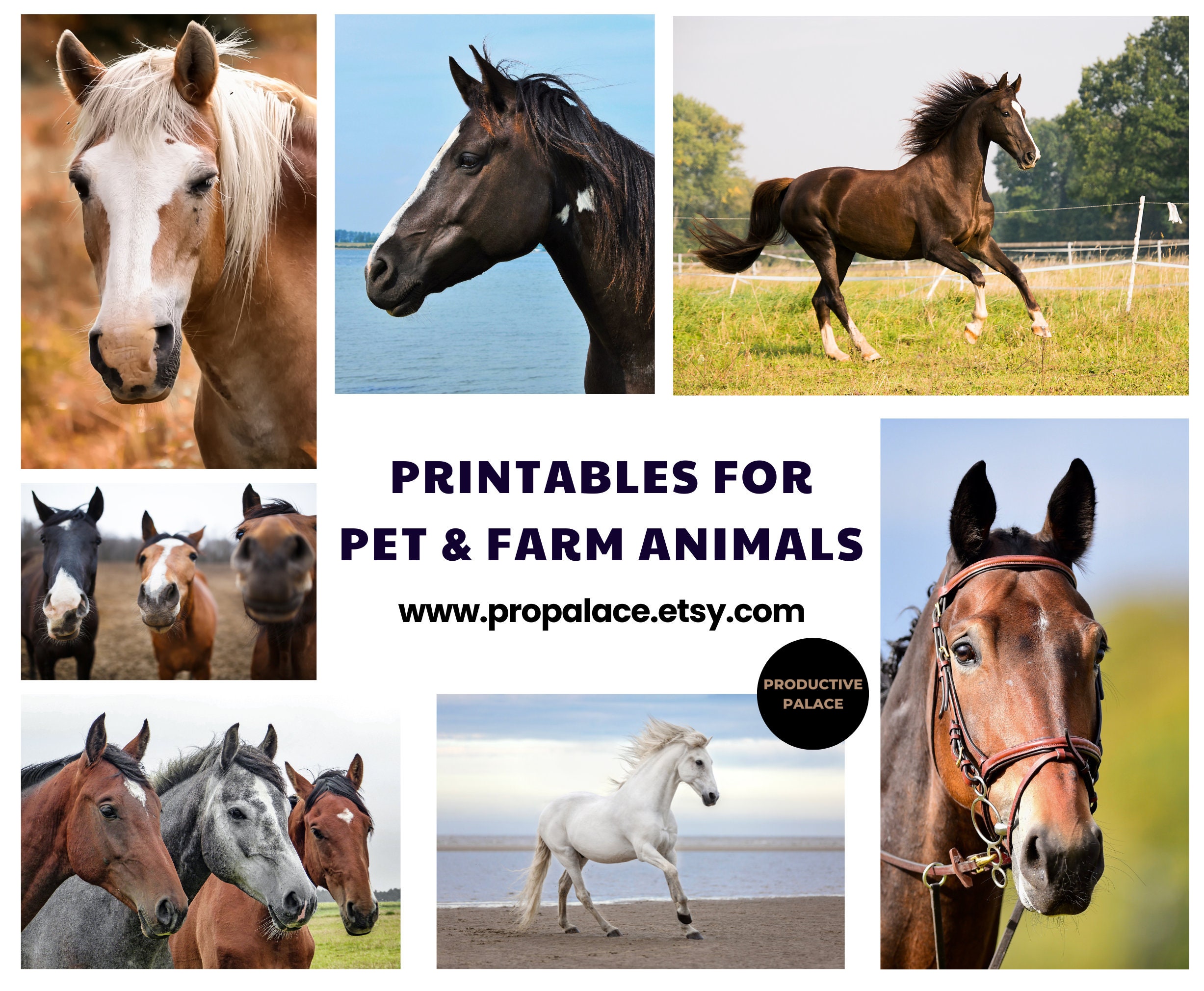 Printable * Horse Birth Certificate – Document Birth Record, Home Birth ...