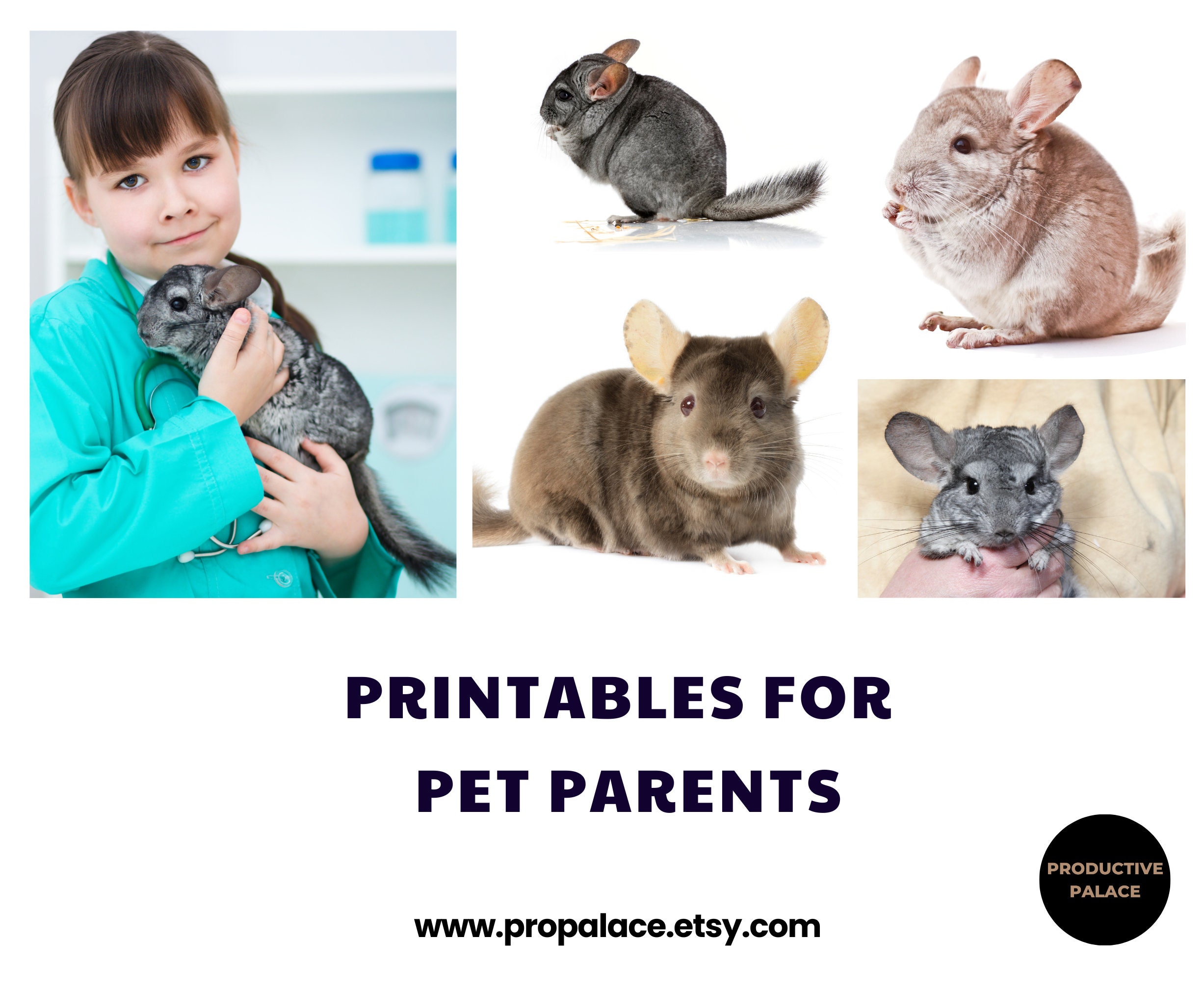 Printable * Chinchilla Birth Certificate – Document Write in Birth ...