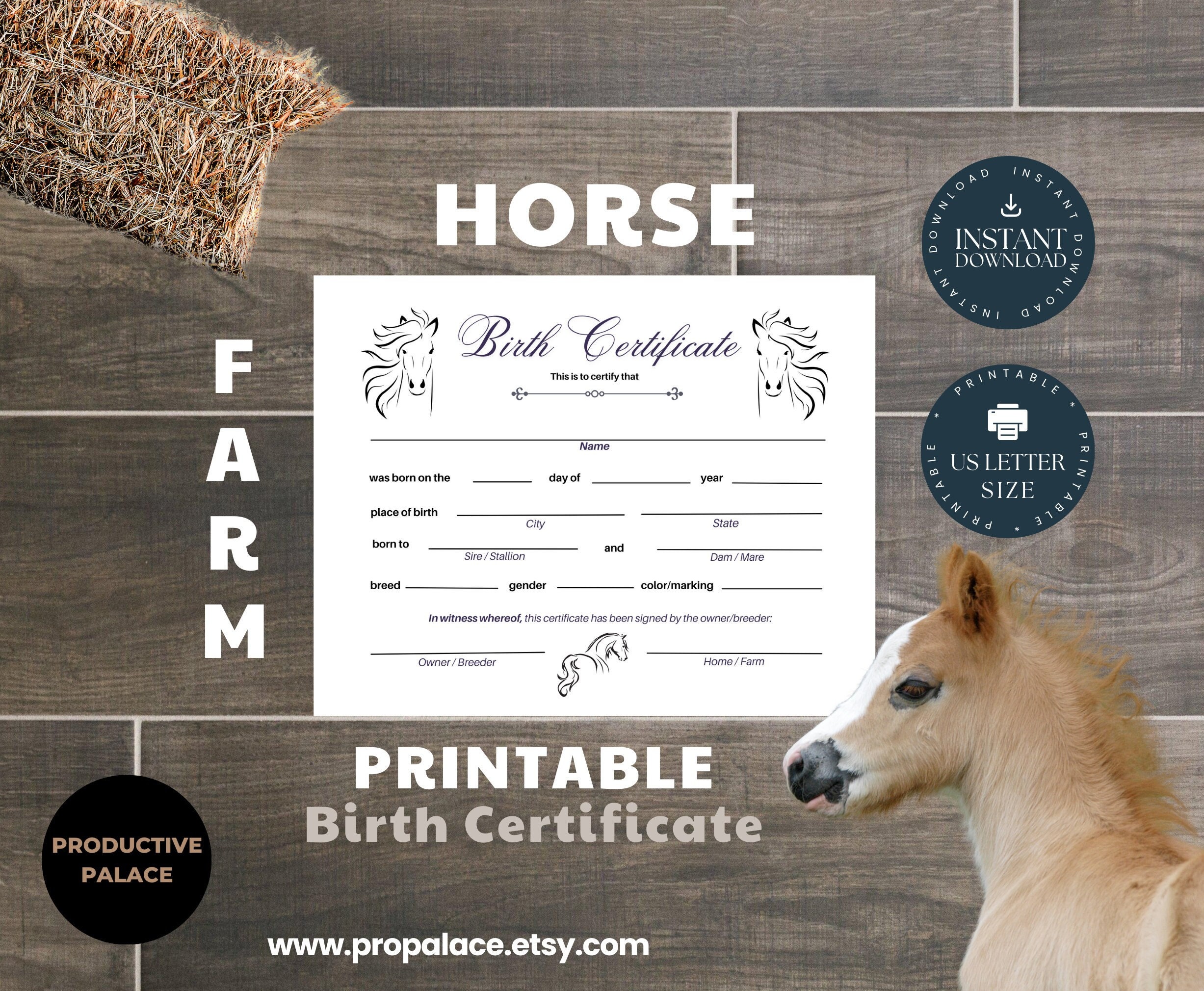 Printable * Horse Birth Certificate – Document Birth Record, Home Birth ...