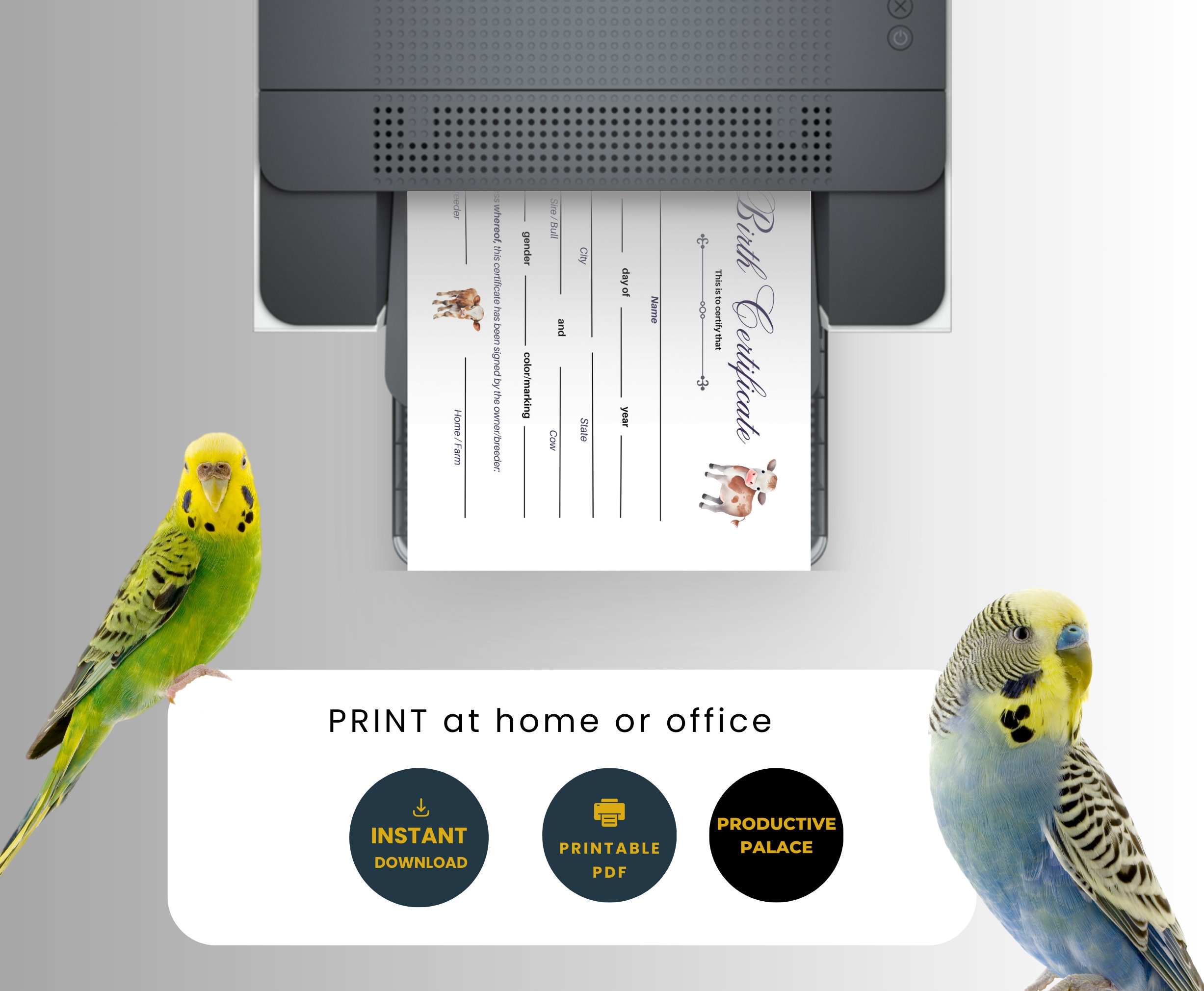 Printable * Cattle Birth Certificate – Document Birth Record, Home ...