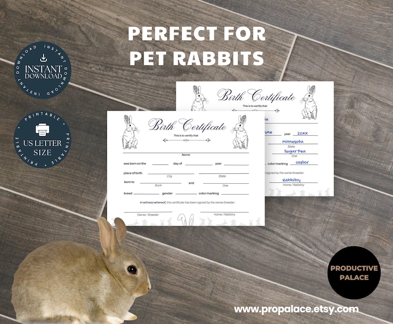 Printable * Rabbit Birth Certificate – Document Write in Birth Record ...