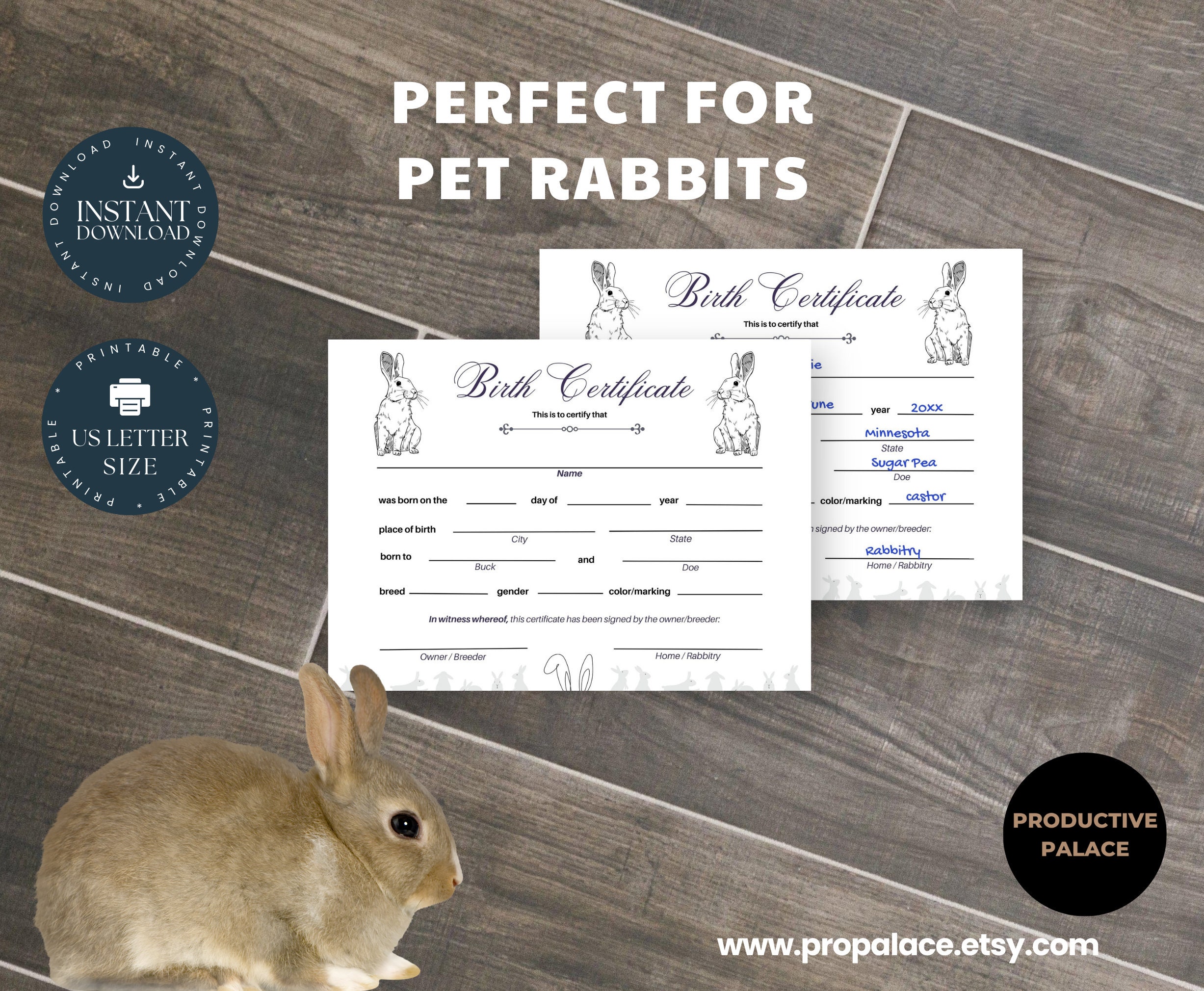 Printable * Rabbit Birth Certificate – Document Write in Birth Record ...