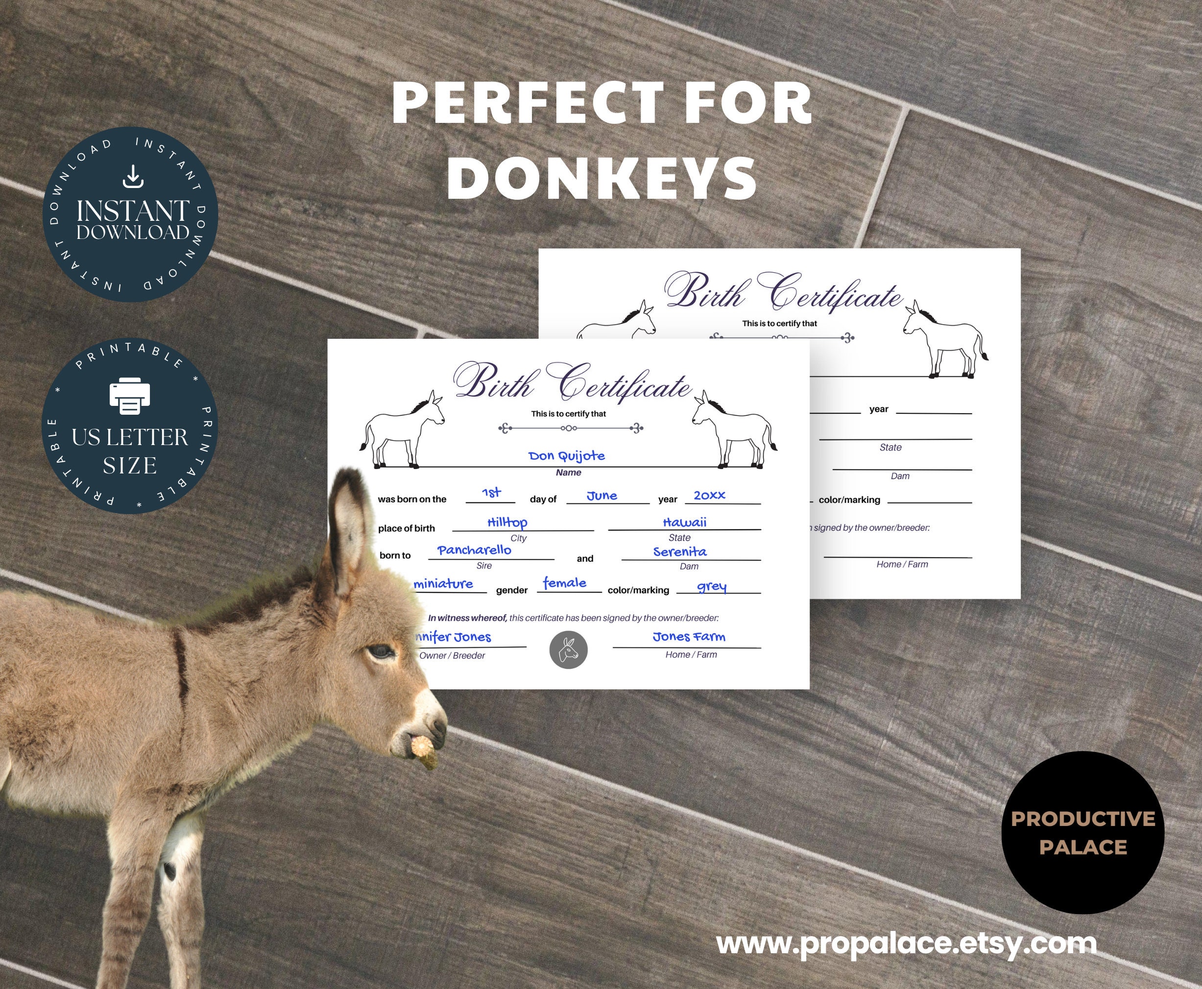 Printable Donkey Birth Certificate Document Write in Birth Record, Home ...