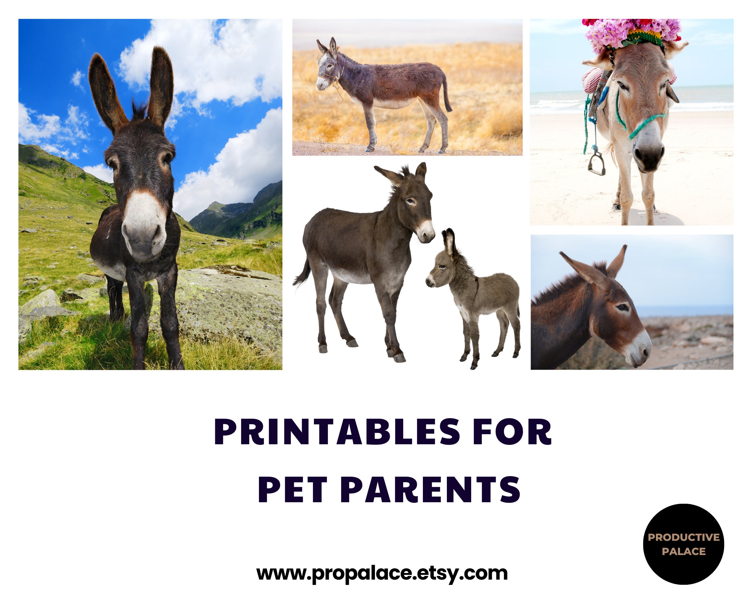 Printable * Donkey Birth Certificate – Document Write in Birth Record ...