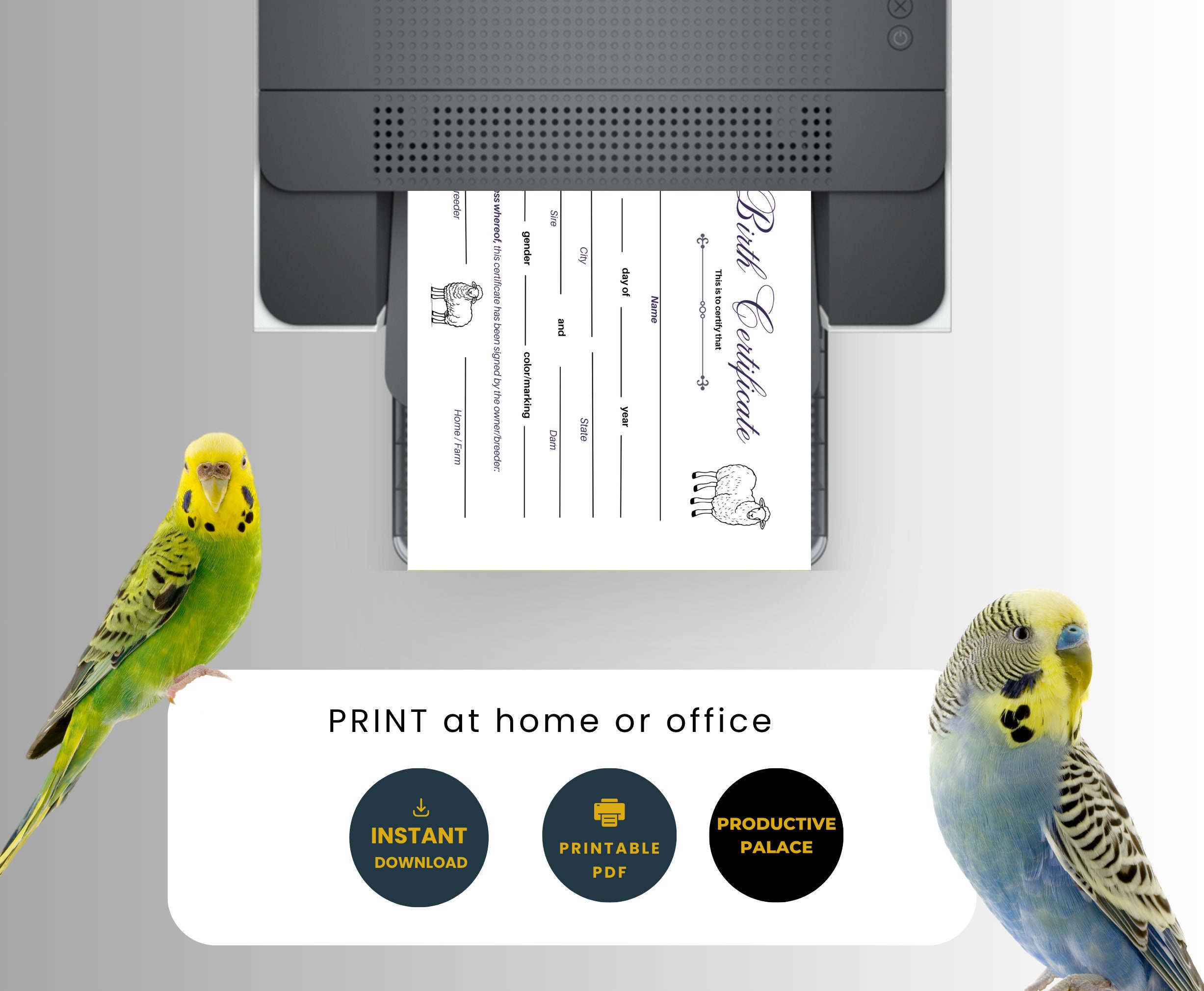 Printable * Sheep Birth Certificate – Document Write in Birth Record ...