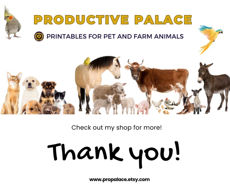 Printable * Rat Adoption Certificate – Pet Adoption Record, Domestic ...