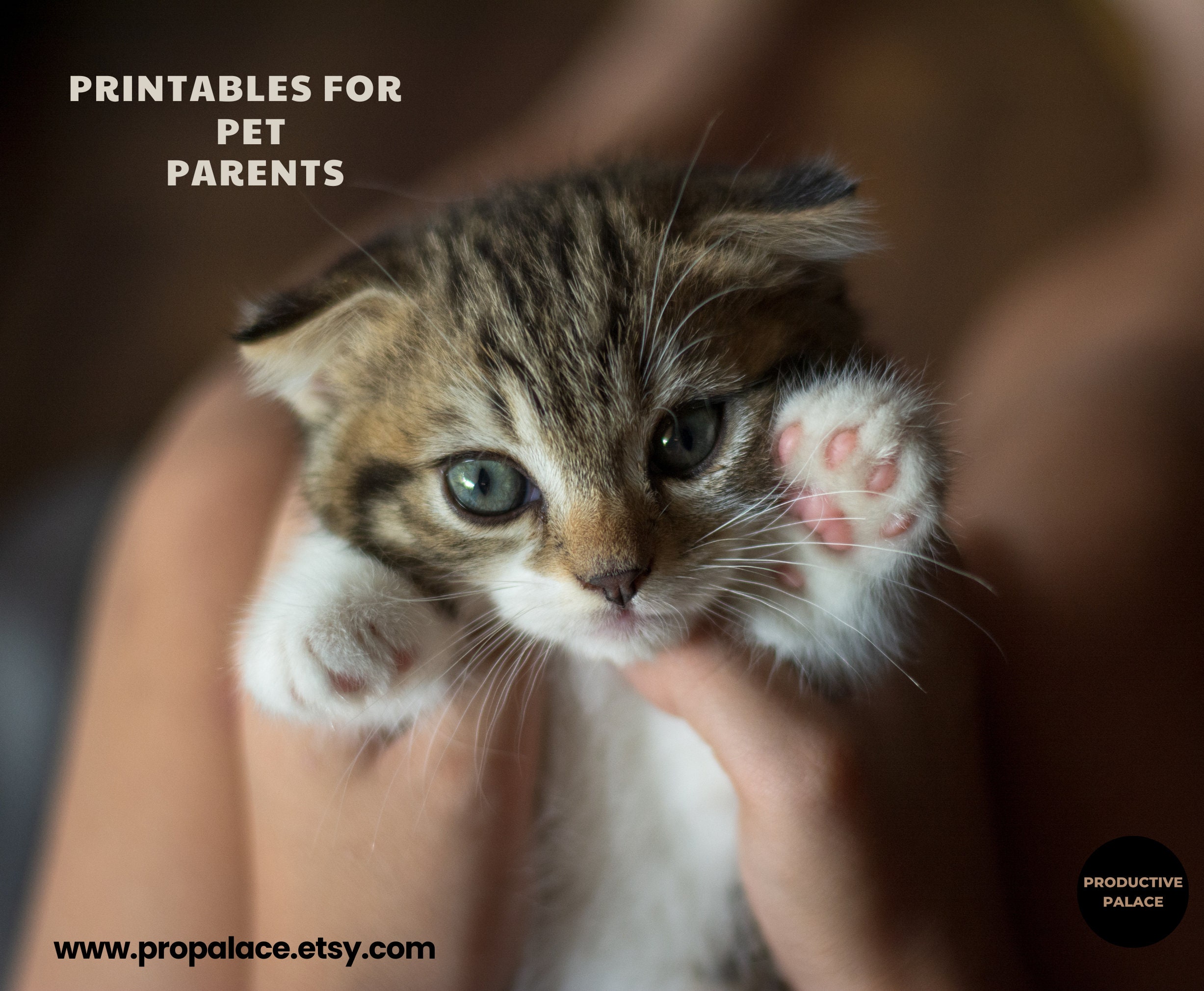 Printable * Kitten Birth Certificate – Document Write in Birth Record ...