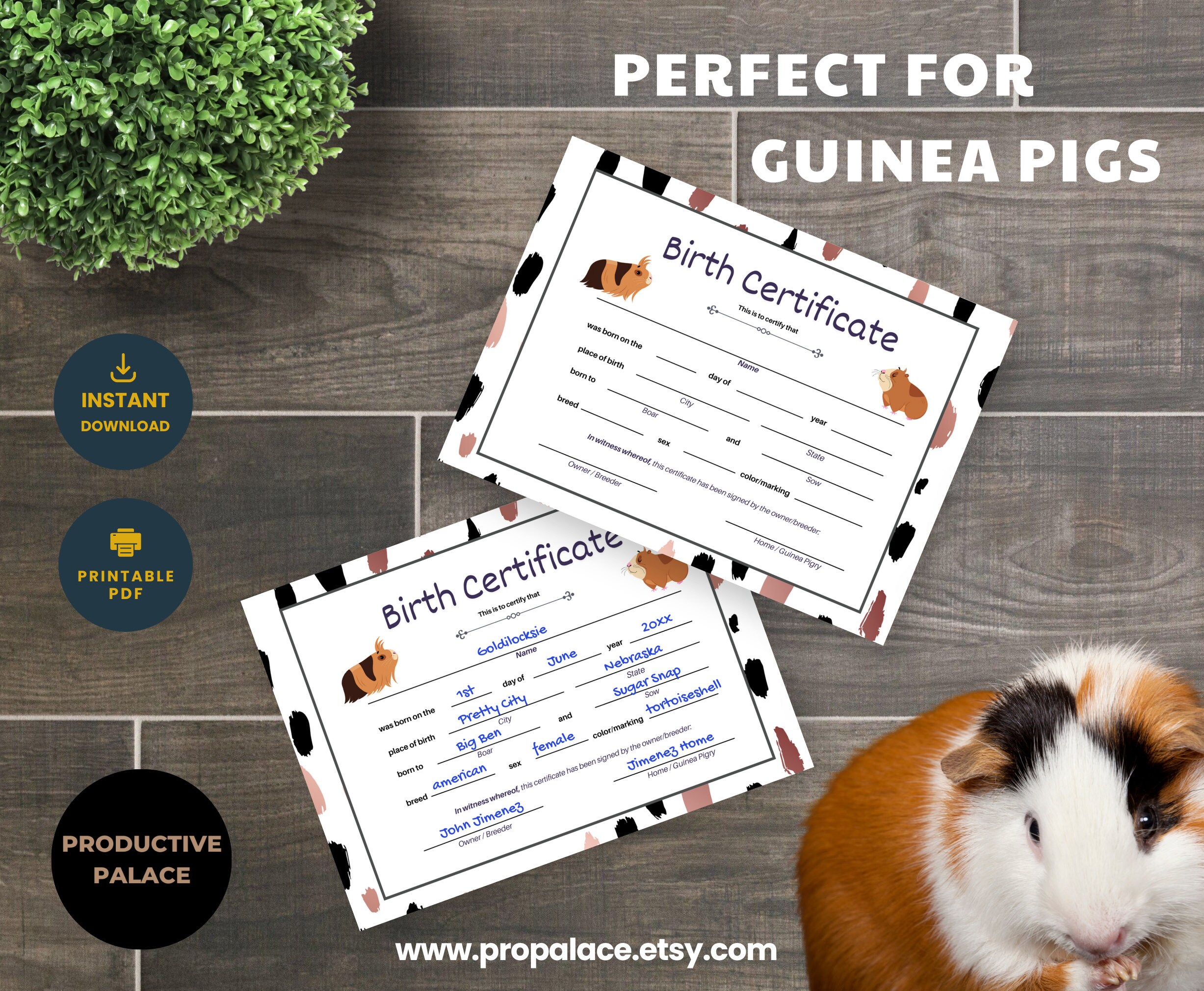 Printable * Guinea Pig Birth Certificate – Document Write in Birth ...