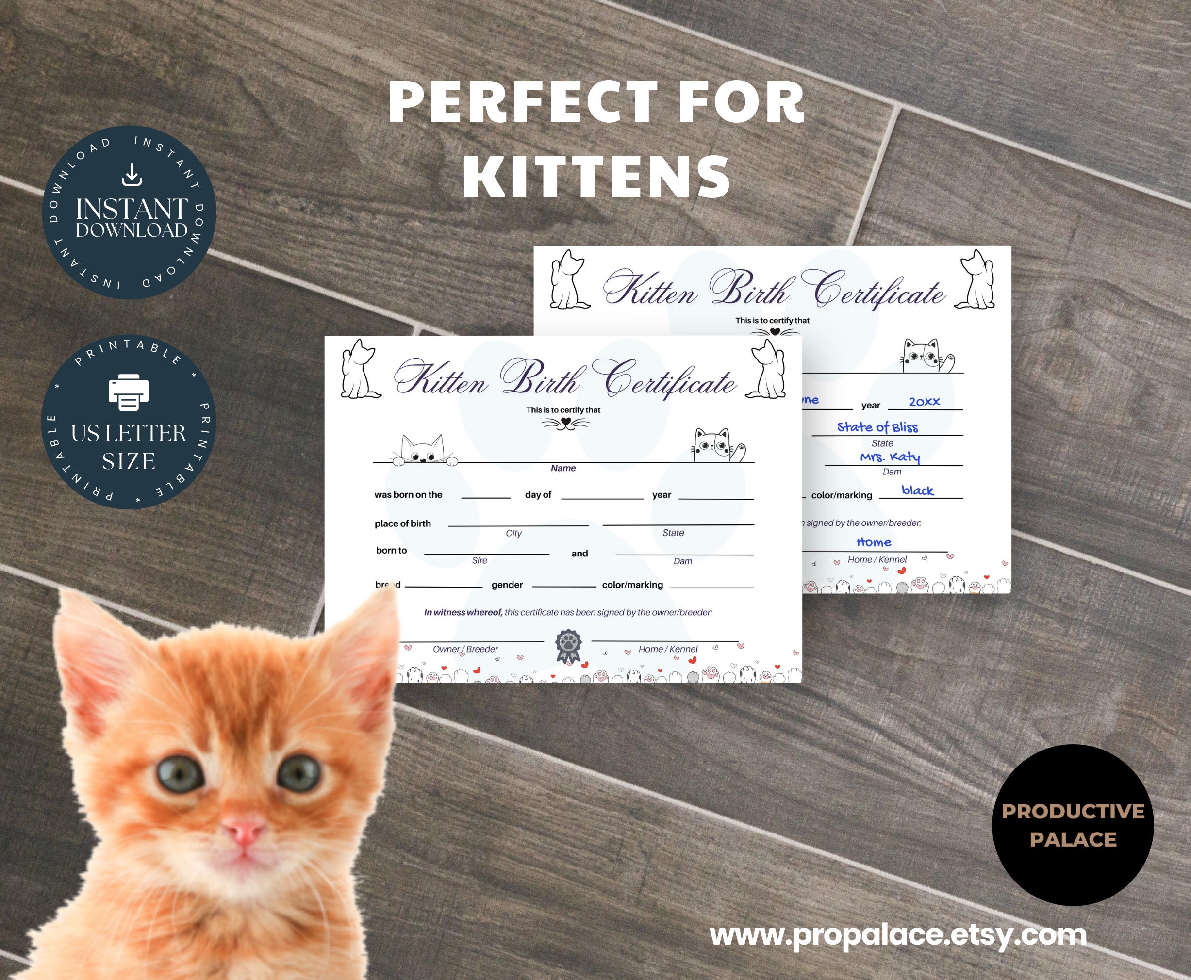 Printable * Kitten Birth Certificate – Document Write in Birth Record ...