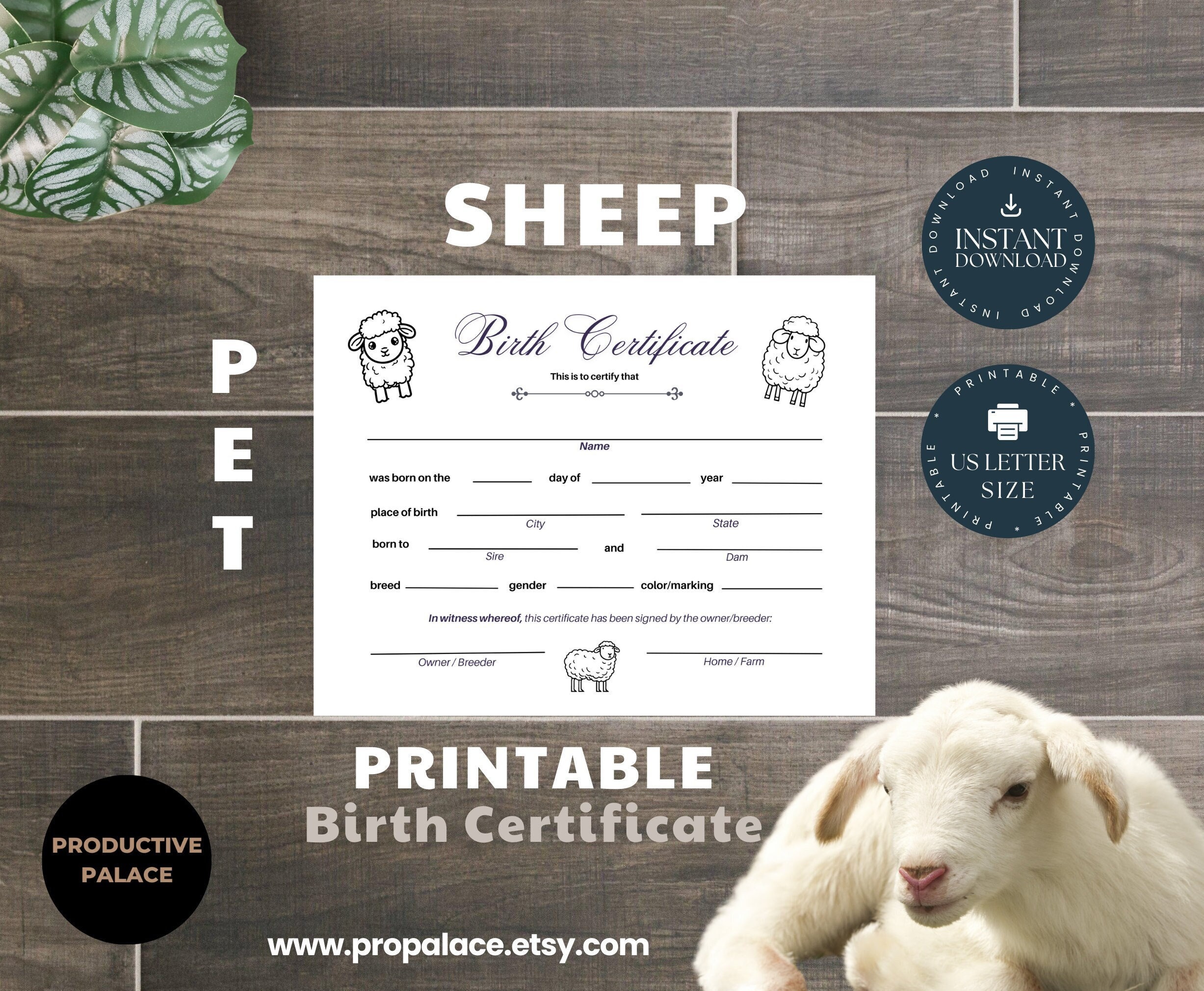 Printable * Sheep Birth Certificate – Document Write in Birth Record ...