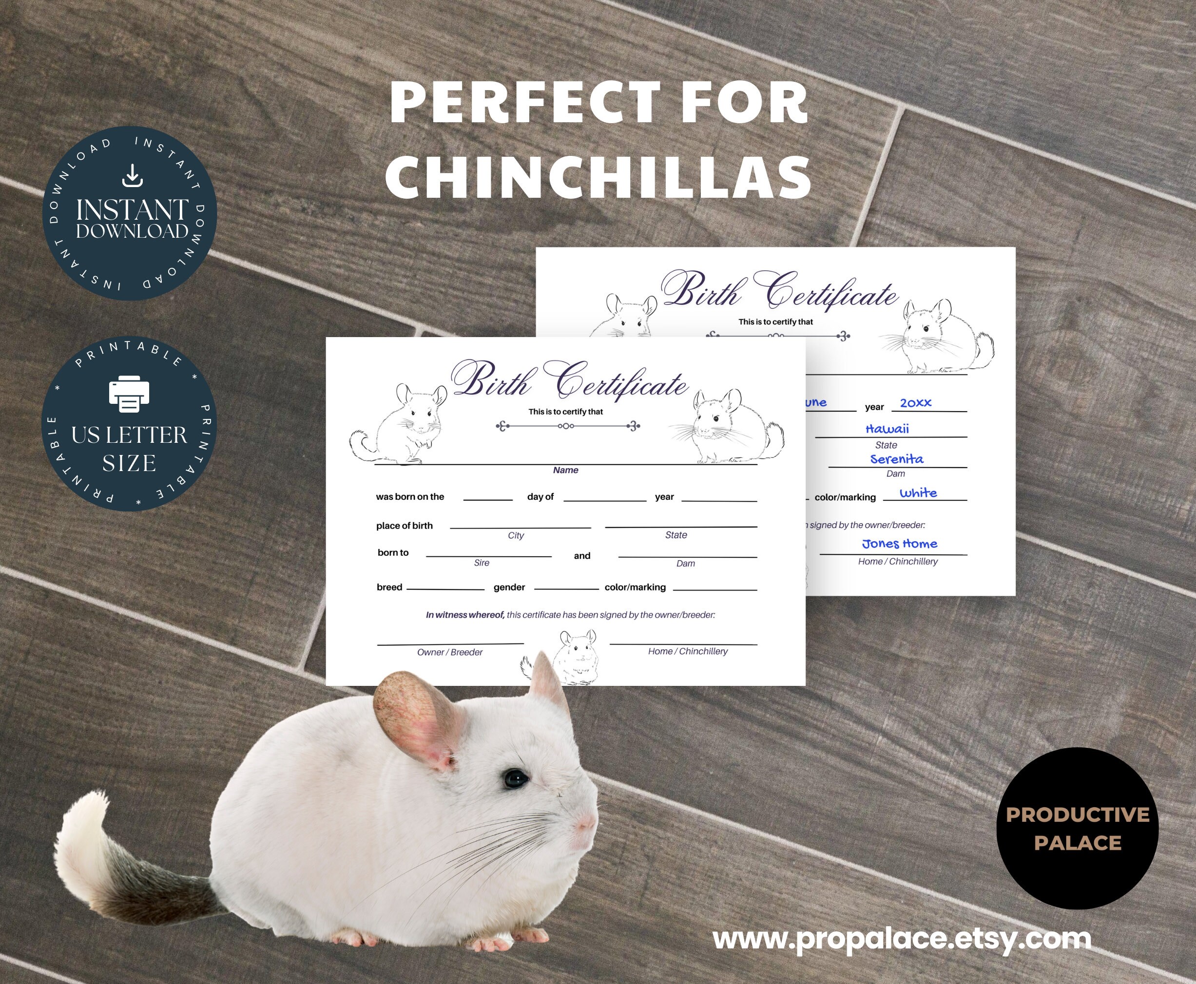 Printable * Chinchilla Birth Certificate – Document Write in Birth ...