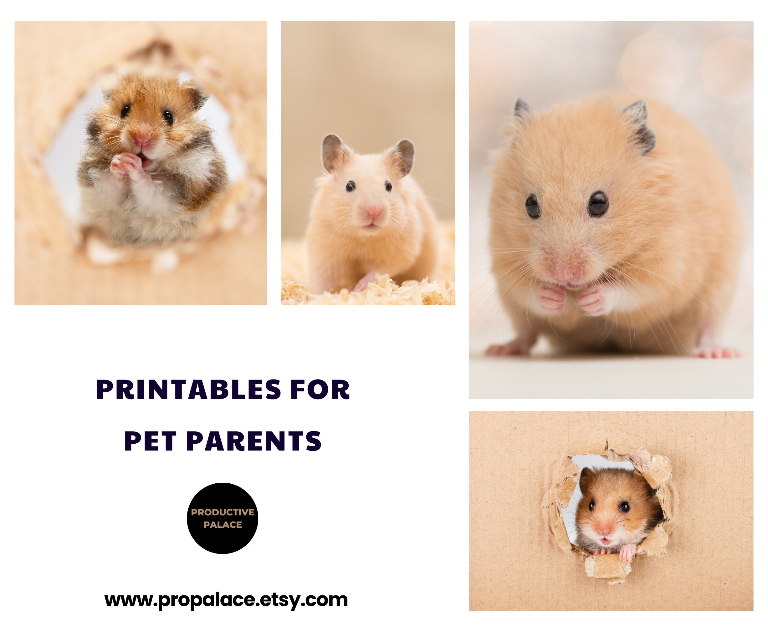 Printable * Hamster Birth Certificate – Document Write in Birth Record ...