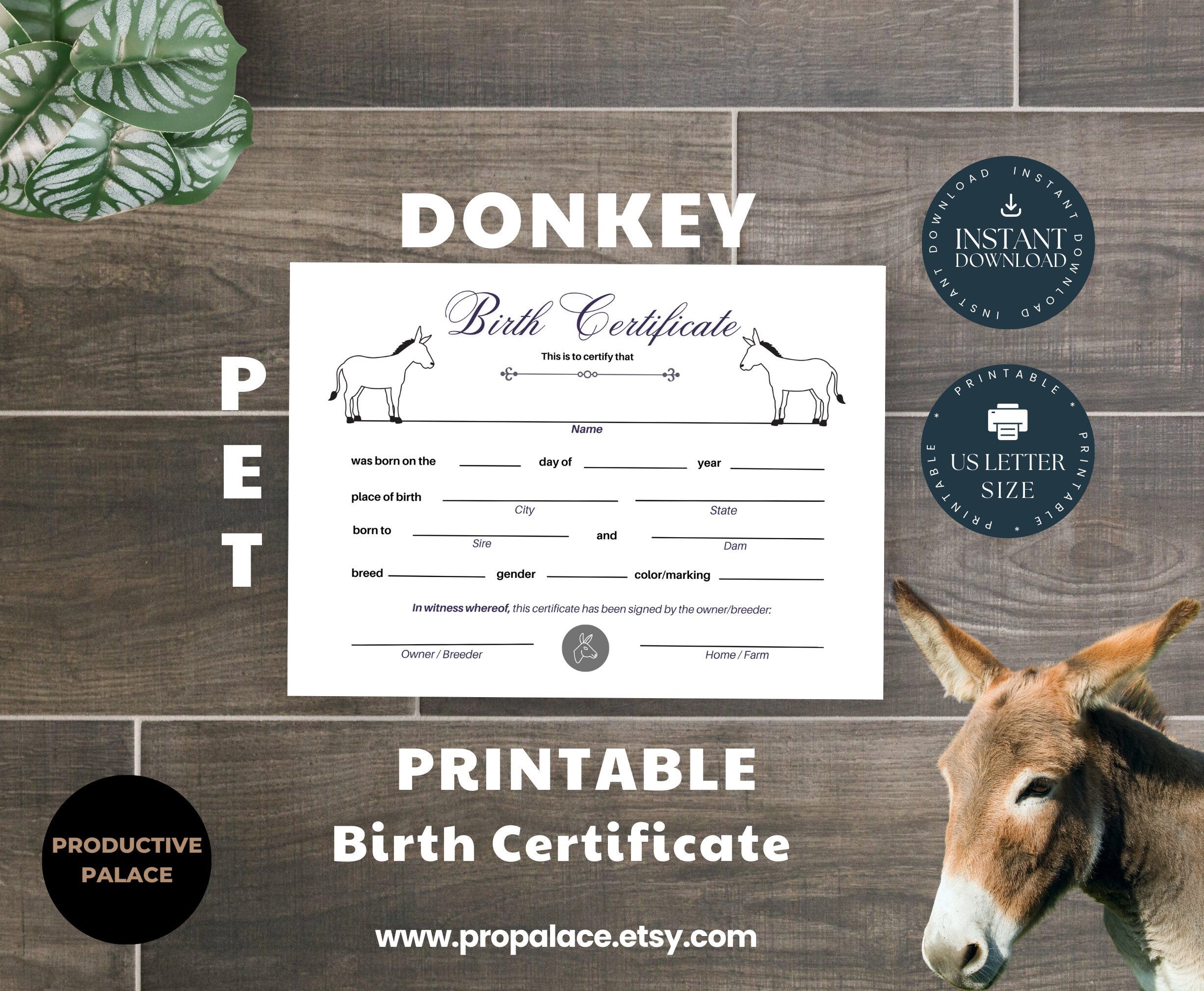 Printable * Donkey Birth Certificate – Document Write in Birth Record ...
