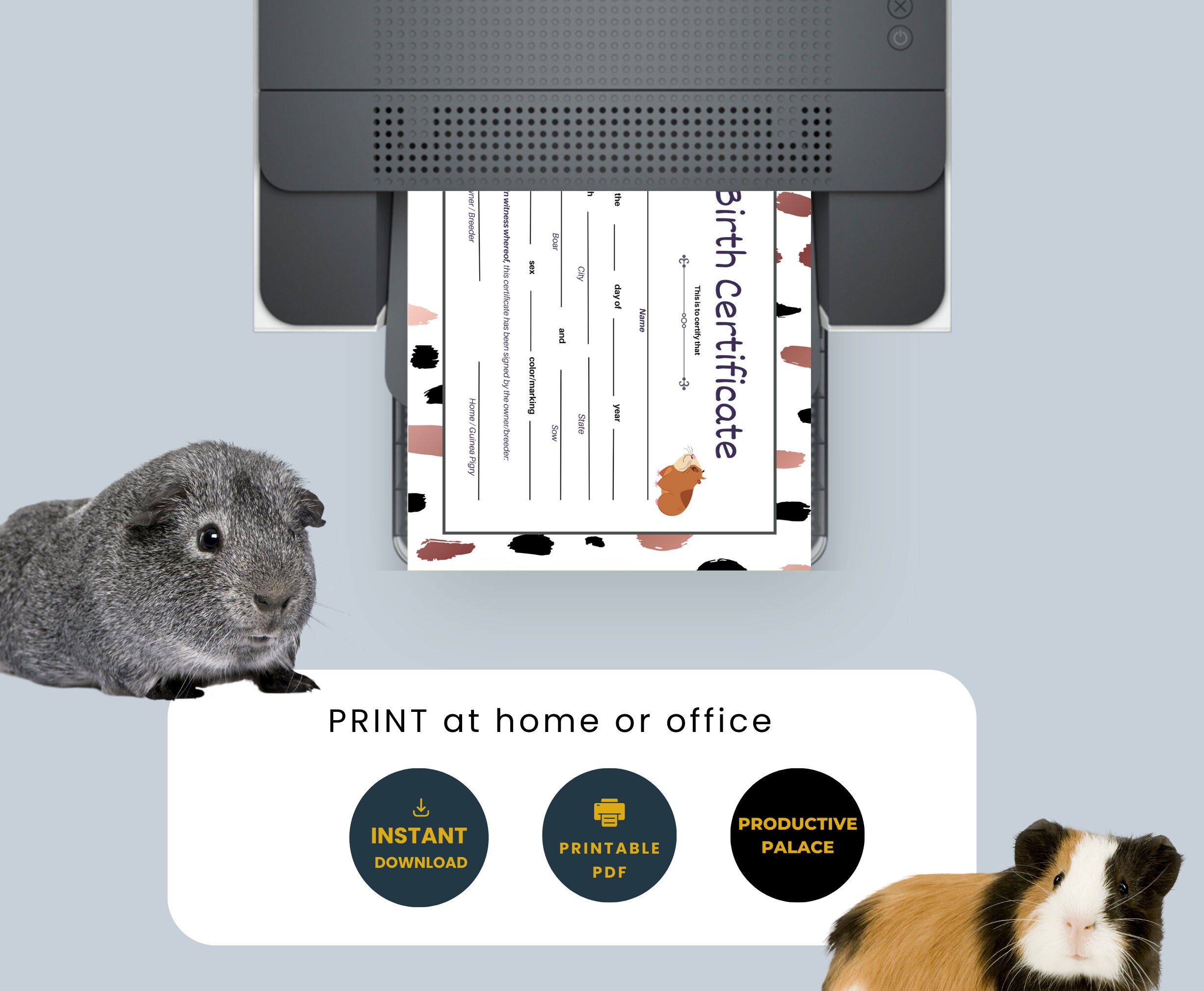 Printable * Guinea Pig Birth Certificate – Document Write in Birth ...