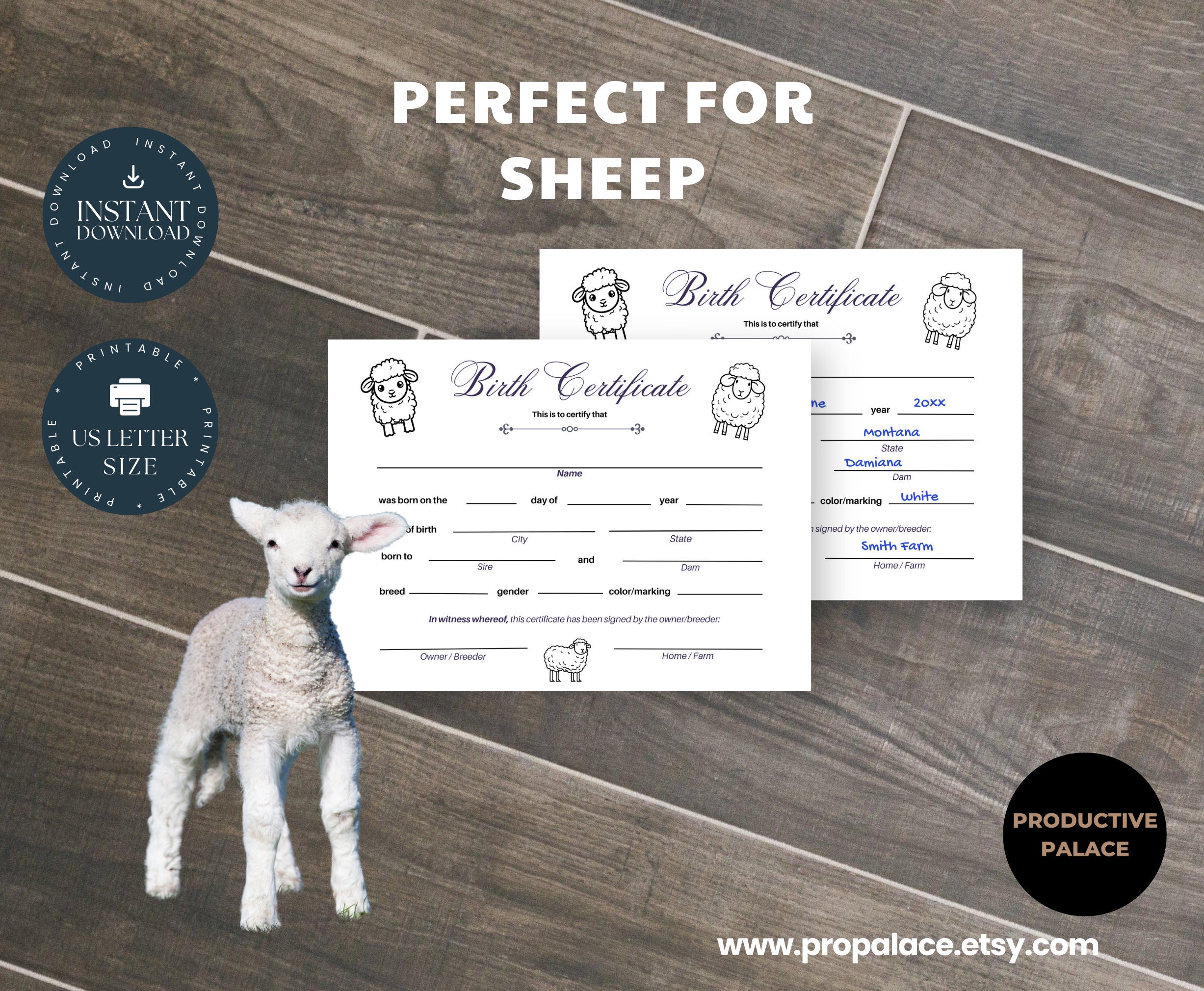 Printable * Sheep Birth Certificate – Document Write in Birth Record ...