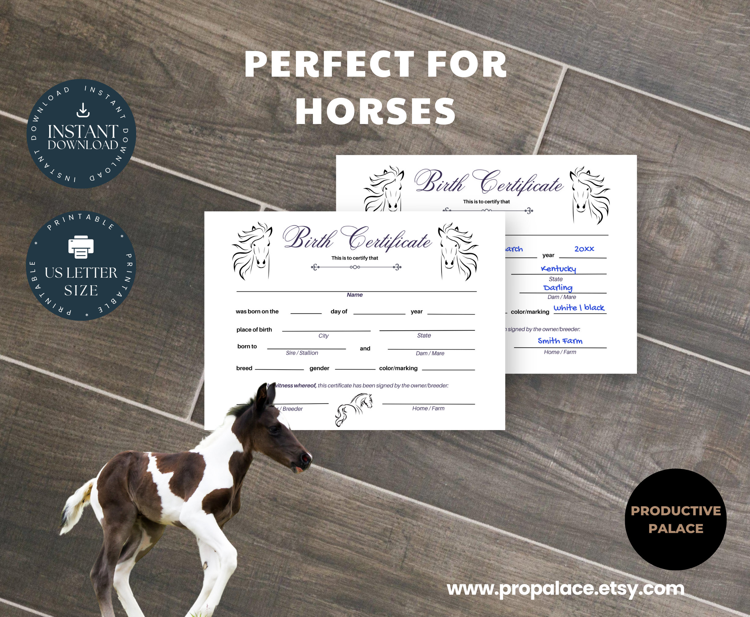 Horse Printable Birth Certificate Foal Birth Record, Pet, Farm Animal ...