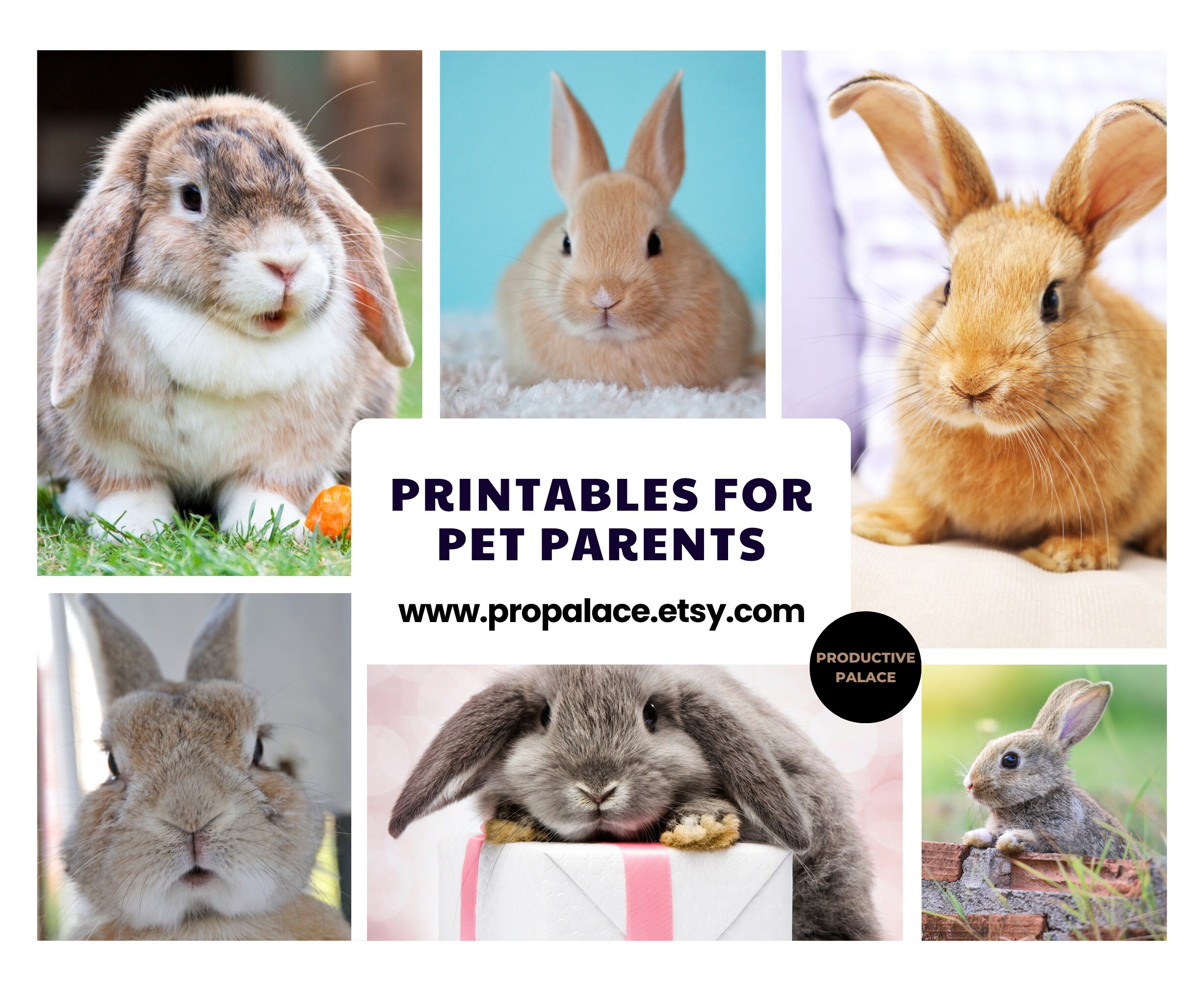 Printable * Rabbit Birth Certificate – Document Write in Birth Record ...