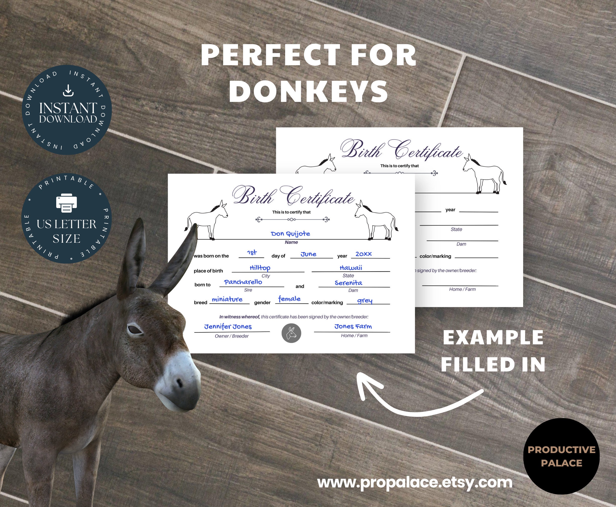Printable * Donkey Birth Certificate – Document Write in Birth Record ...