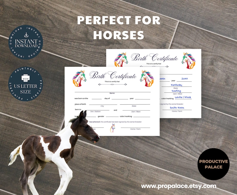 Printable * Horse Birth Certificate – Document Birth Record, Home Birth ...
