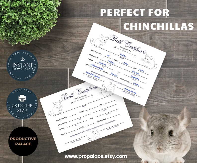 Printable * Chinchilla Birth Certificate – Document Write in Birth ...