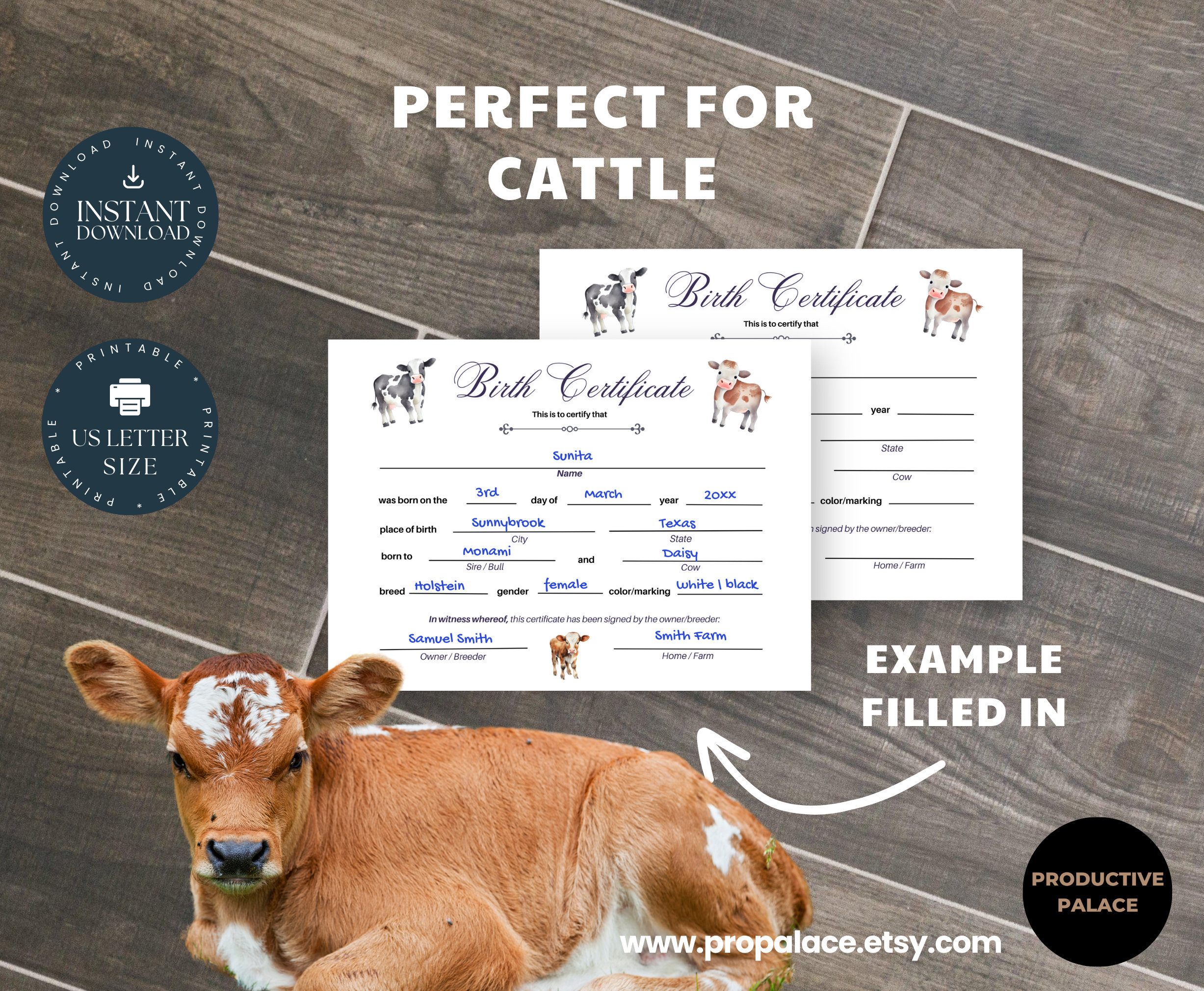 Printable * Cattle Birth Certificate – Document Birth Record, Home ...