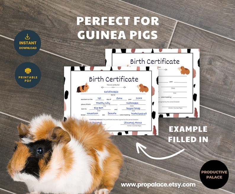 Printable * Guinea Pig Birth Certificate – Document Write in Birth ...