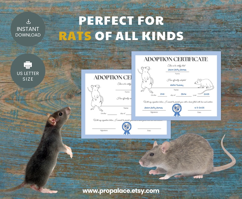 Printable * Rat Adoption Certificate – Pet Adoption Record, Domestic ...