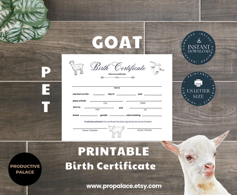 Printable * Goat Birth Certificate – Document Write in Birth Record ...
