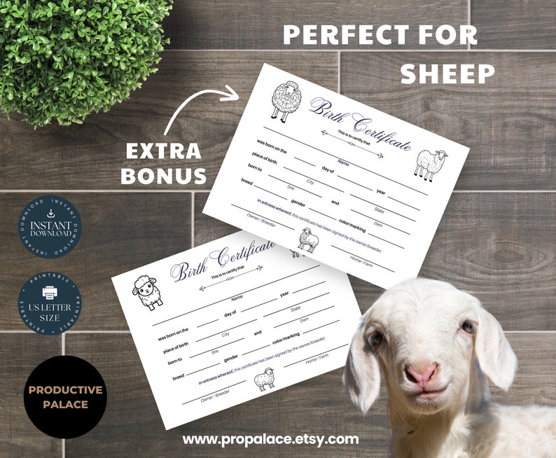 Printable * Sheep Birth Certificate – Document Write in Birth Record ...