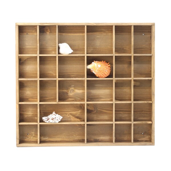 Seashell Display Box - Etsy