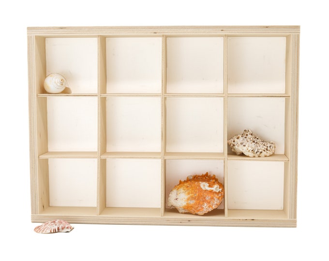 Collection Display With 12 Compartments Unfinished Wooden Display ...