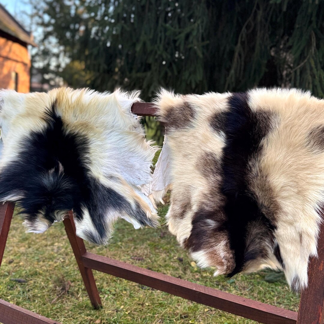 Tanned Hair-on Goat Hide for Leathercraft, Goat Skin Accent Rug, Boho ...