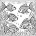 Sea Life, Marine Life, Under the Sea Coloring Book - 10 Printable Adult ...