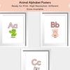 Printable Dolch Sight Word Flashcards, Dolch Preprimer Prekindergarten ...