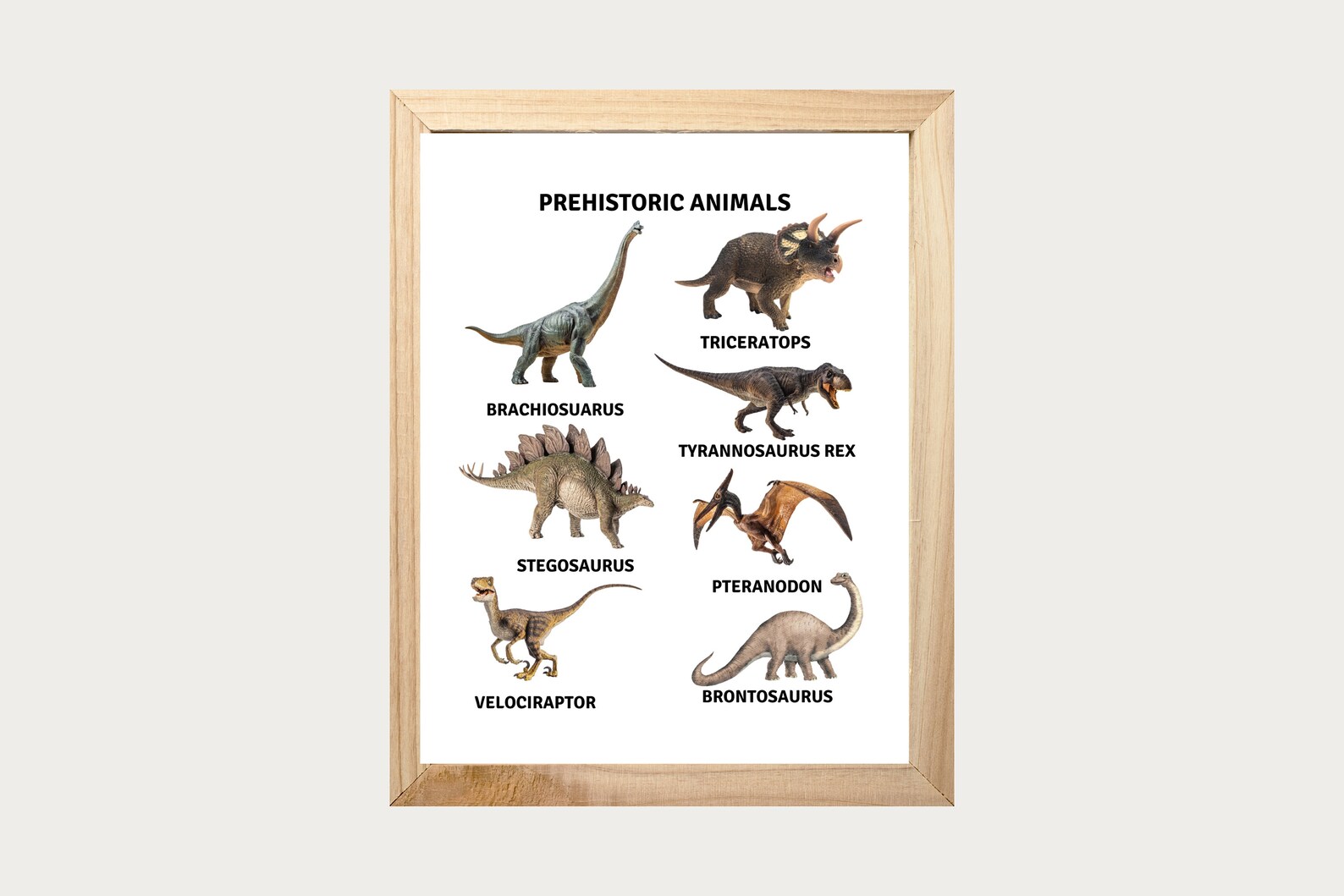 Set of 5 Animal Photo Posters, Homeschool Decor, Montessori, Playroom ...
