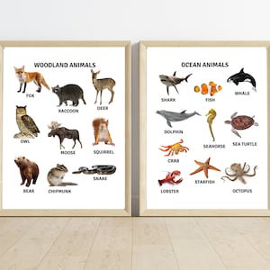 Set of 5 Animal Photo Posters, Homeschool Decor, Montessori, Playroom ...