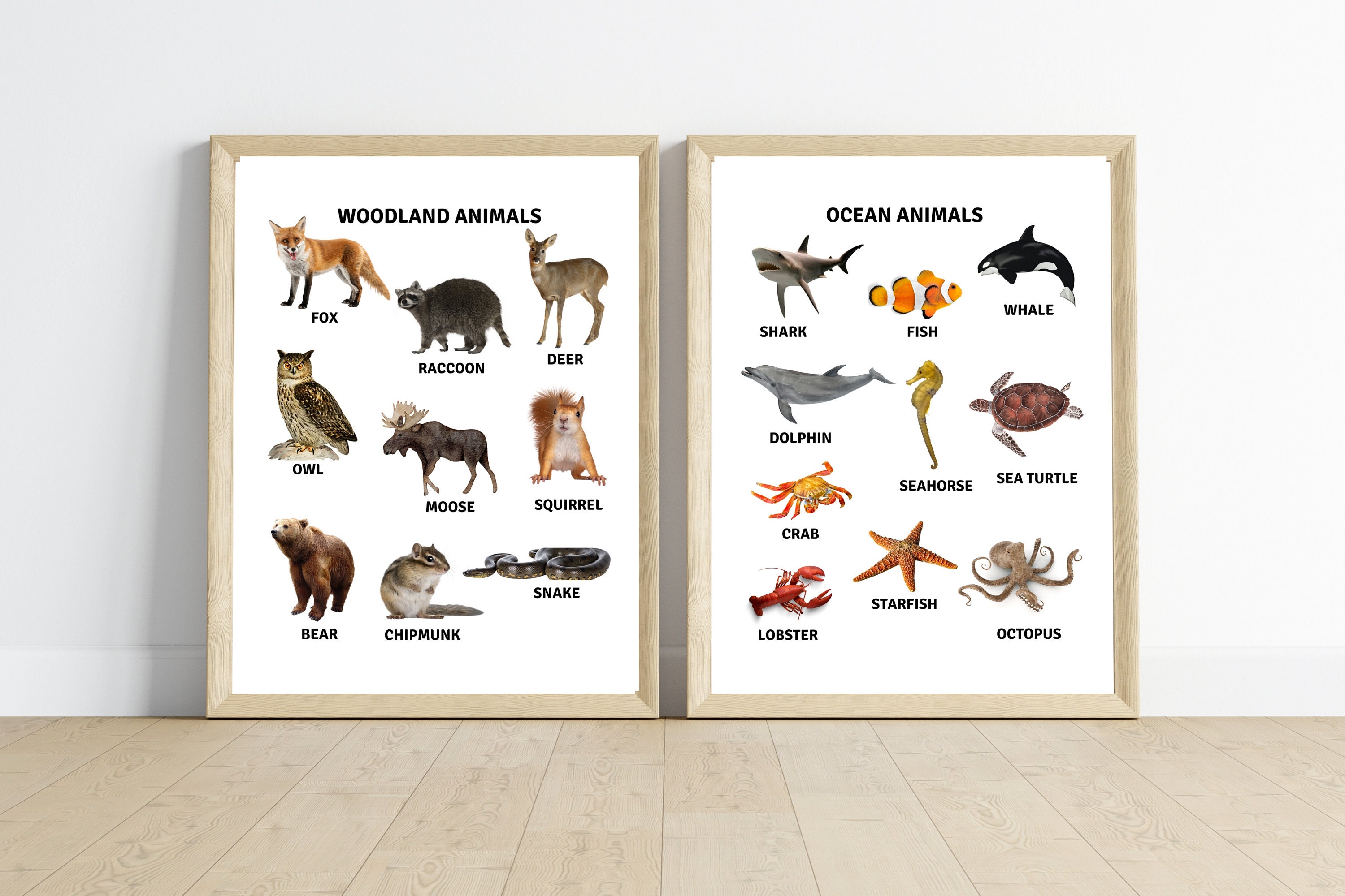 Set of 5 Animal Photo Posters, Homeschool Decor, Montessori, Playroom ...