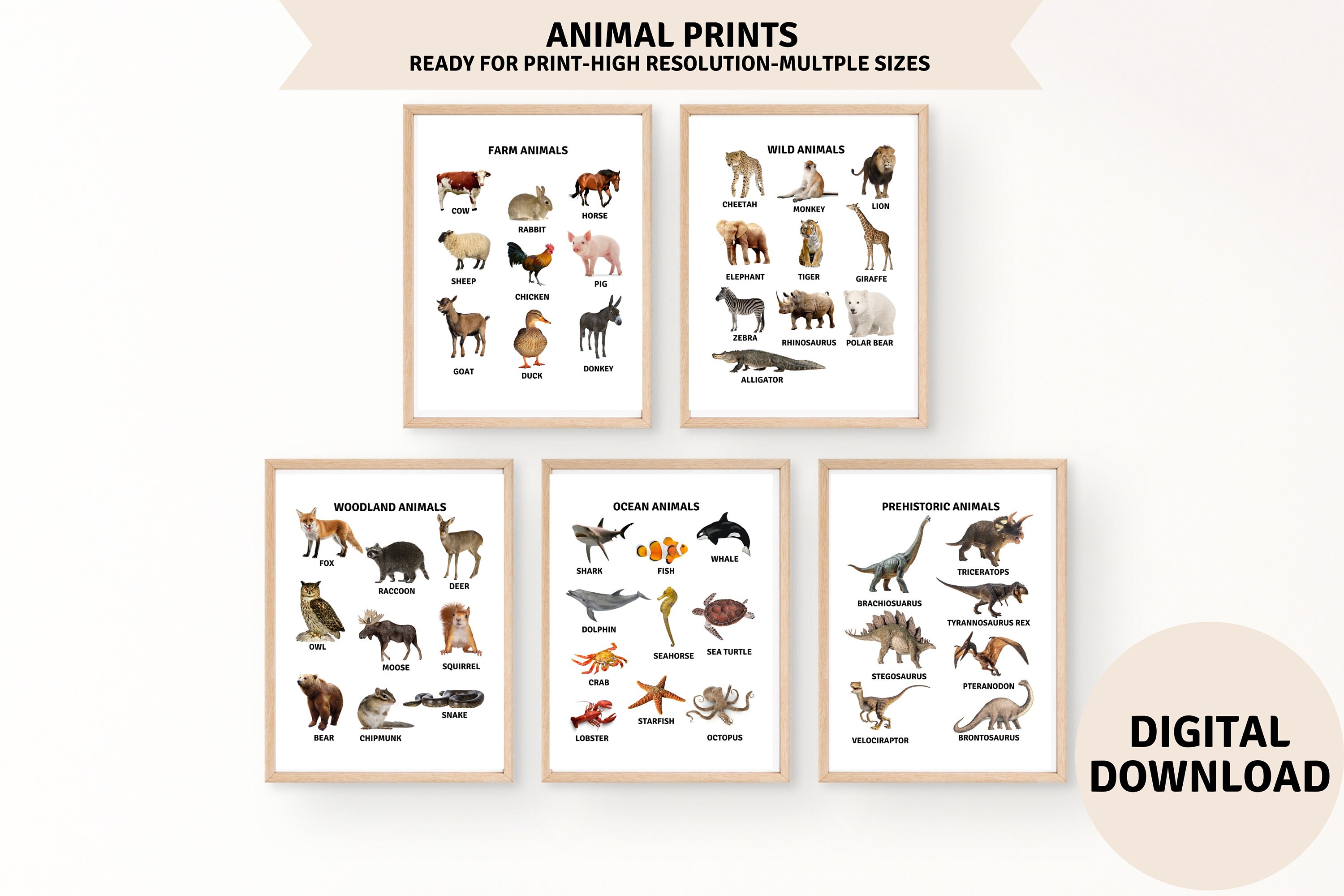 Set of 5 Animal Photo Posters, Homeschool Decor, Montessori, Playroom ...