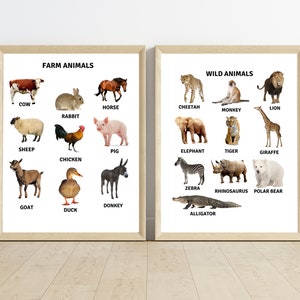 Set of 5 Animal Photo Posters, Homeschool Decor, Montessori, Playroom ...