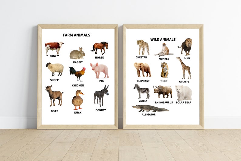 Set of 5 Animal Photo Posters, Homeschool Decor, Montessori, Playroom ...