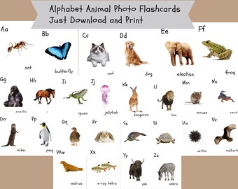 Alphabet Flashcards & Tracing Cards Free Gift ABC Poster. - Etsy