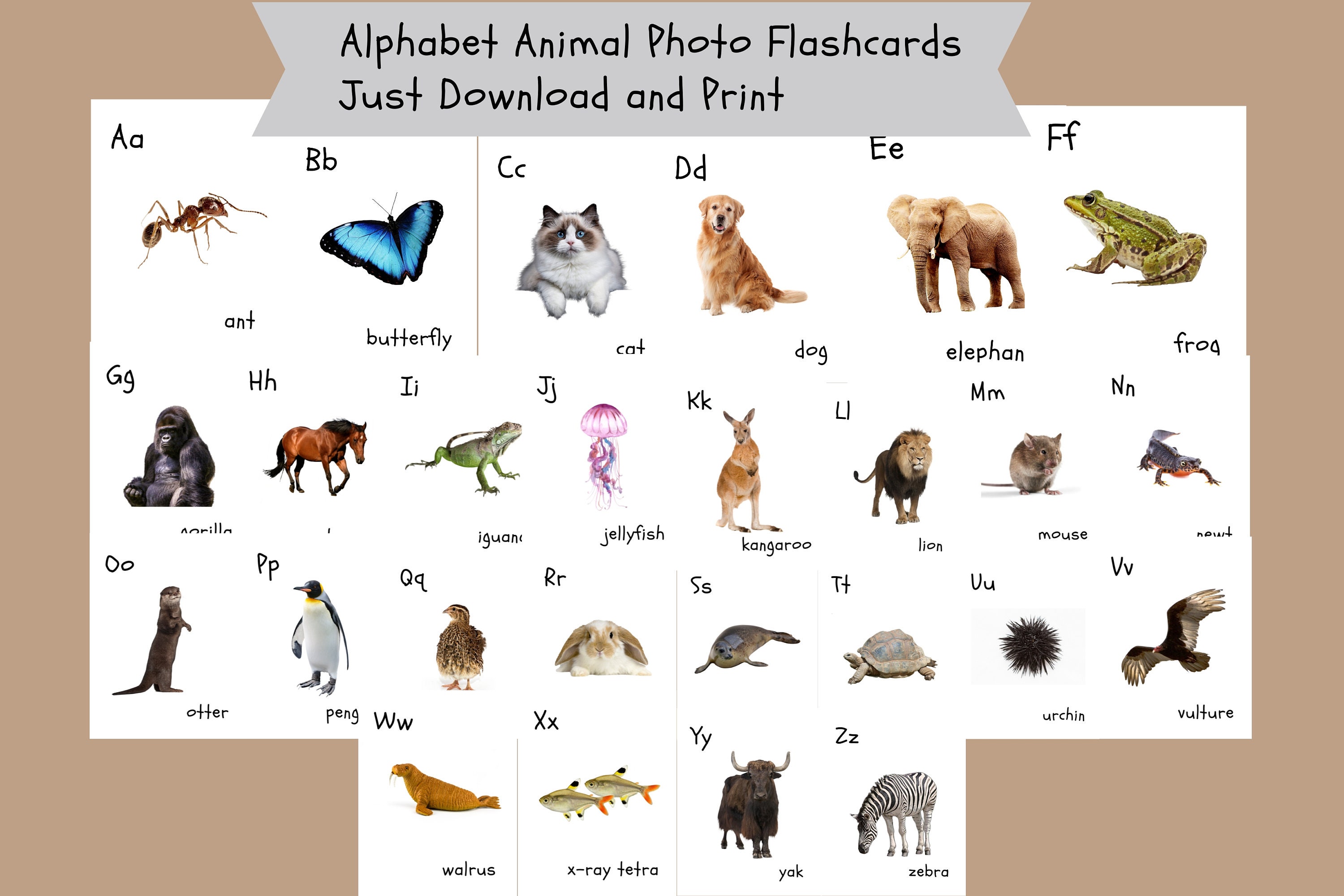 Alphabet Photo Flashcards Printable Animal Cards - Etsy