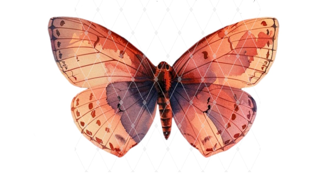 27 Butterflies Clipart, Instant Png Download, Watercolor Butterfly ...