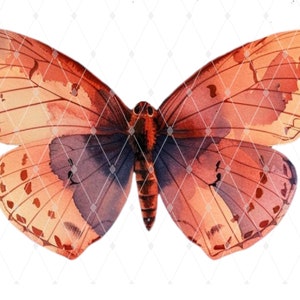 27 Butterflies Clipart, Instant Png Download, Watercolor Butterfly ...