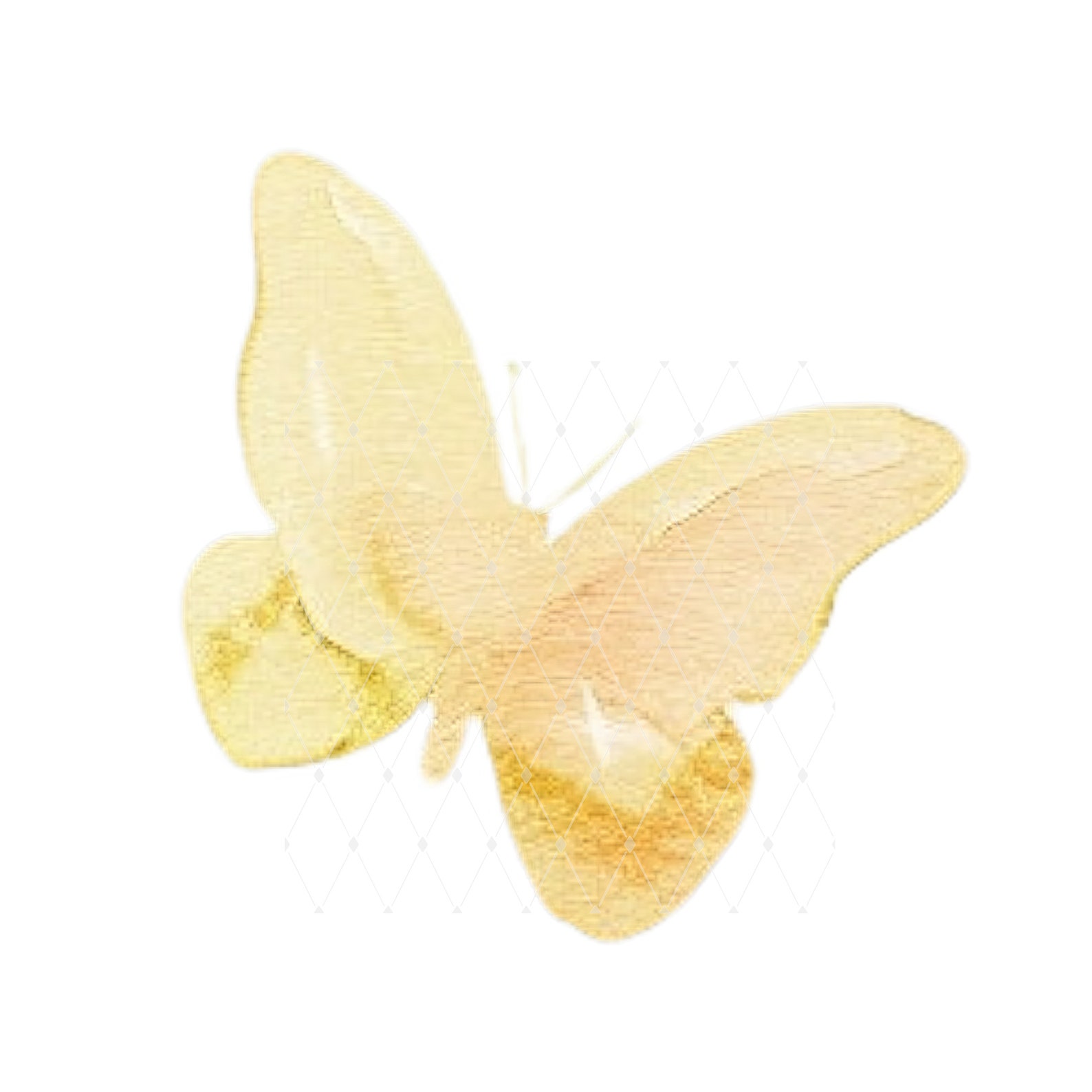 27 Butterflies Clipart, Instant Png Download, Watercolor Butterfly ...