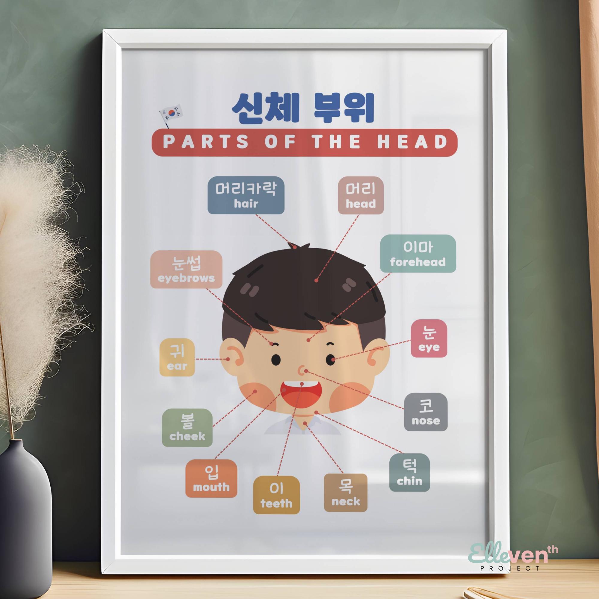 Korean Language Poster, Printable Educational Posters, Korean-english ...