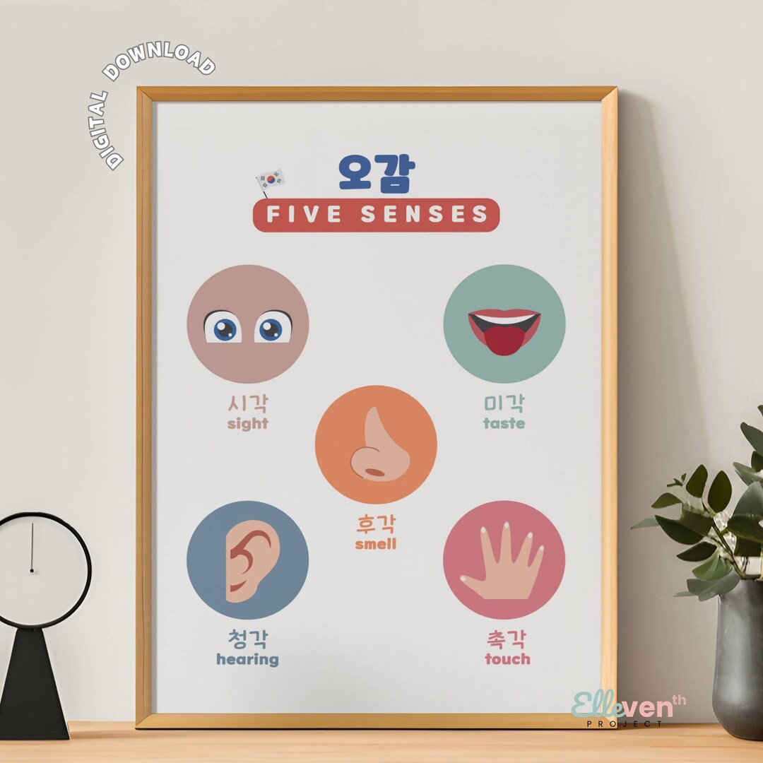 Five Senses in Korean Language Poster, Printable Educational Posters ...