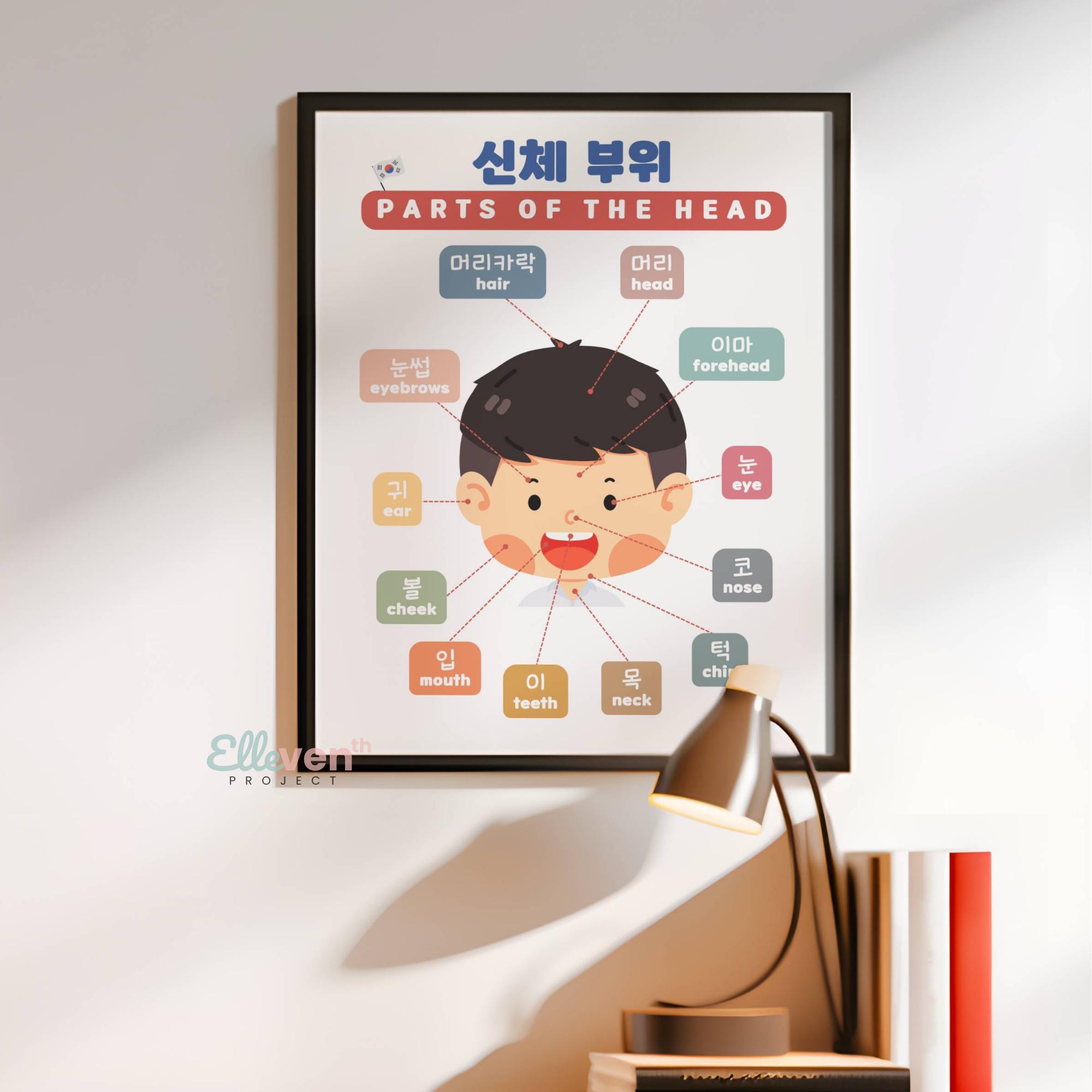 Korean Language Poster, Printable Educational Posters, Korean-english ...