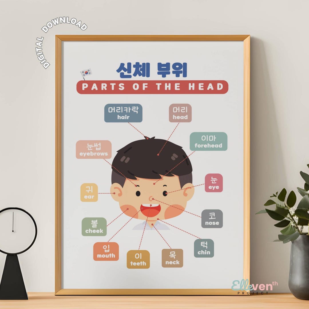 Korean Language Poster, Printable Educational Posters, Korean-english ...